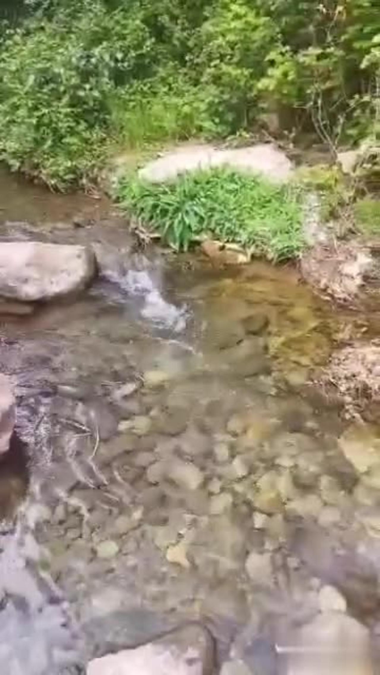 Running water in a small valley in Morocco - One News Page VIDEO