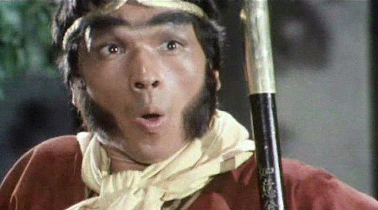 Monkeys react to magic, Monkey see, Monkey do!! - One News Page VIDEO