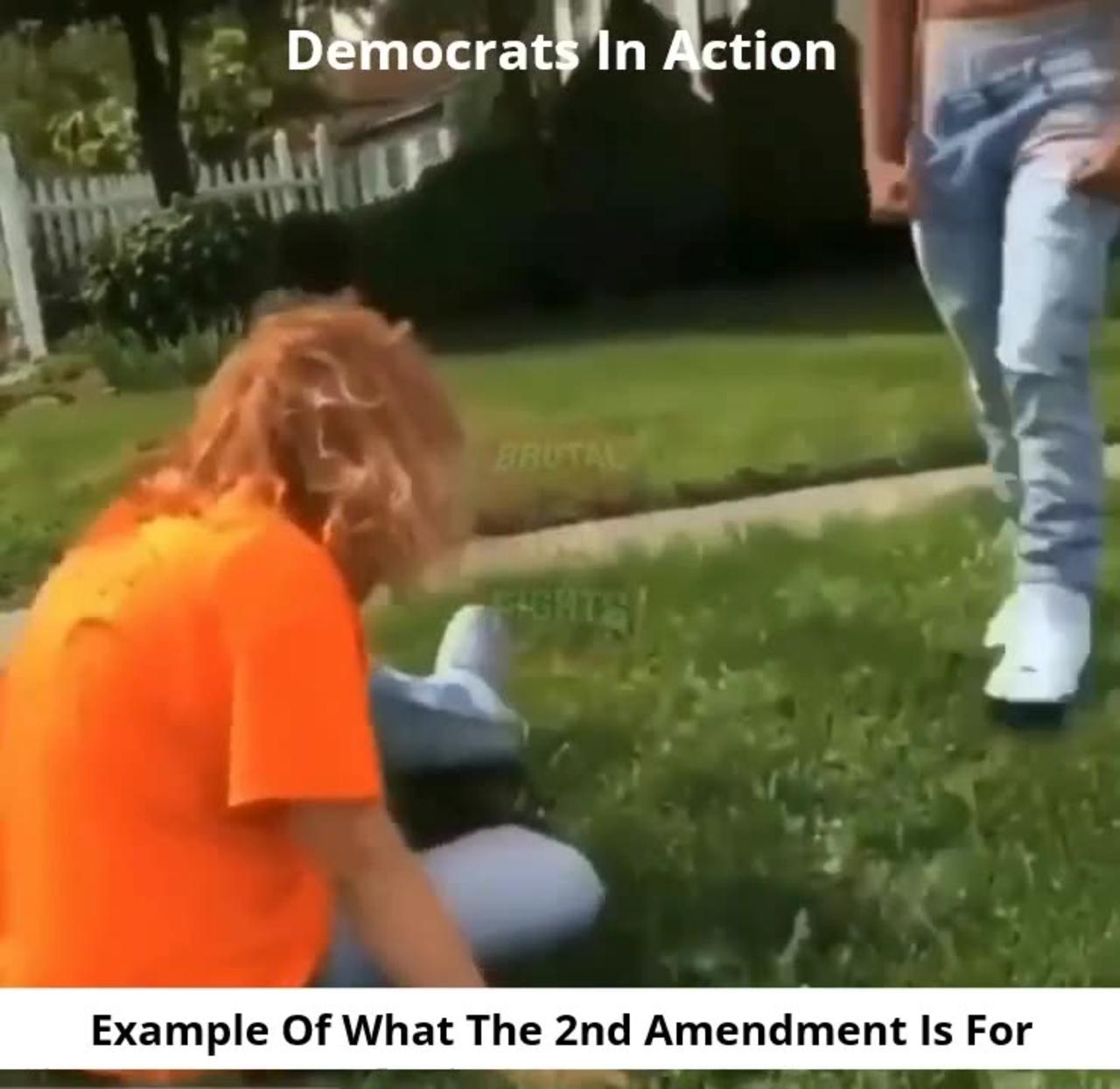 Example Of What The 2nd Amendment Is For - One News Page VIDEO