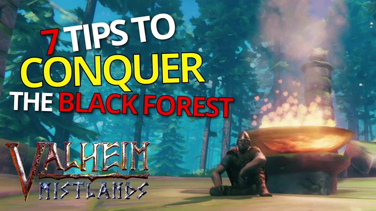 7 Tips For Conquering The Black Forest - Valheim - One News Page VIDEO