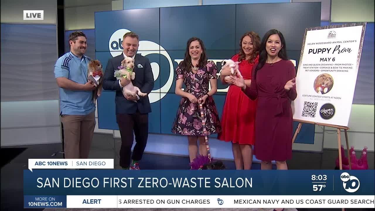 Helen Woodward Animal Center's Puppy Prom - One News Page VIDEO