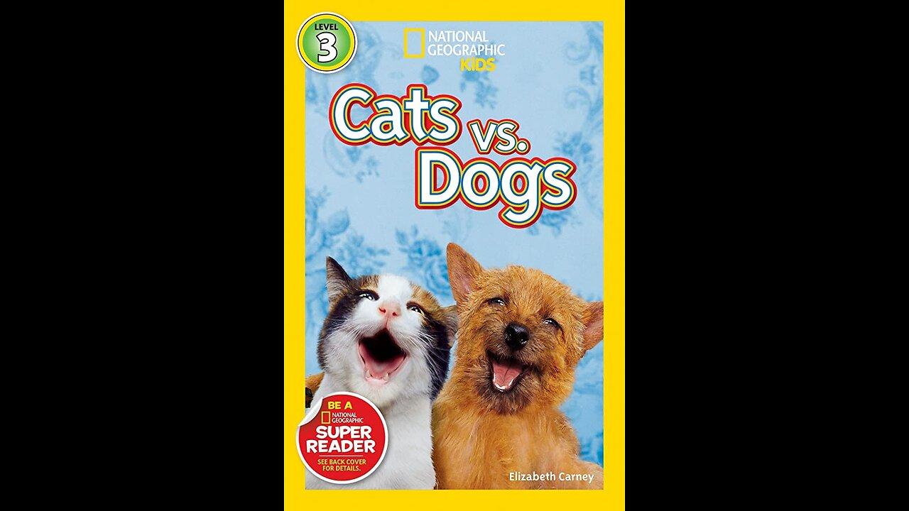 Cats vs Dogs fights - angry cats vs dogs funny - One News Page VIDEO
