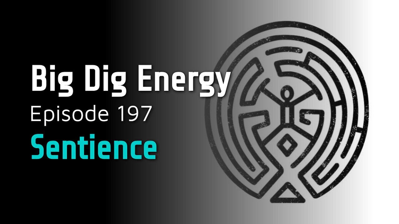 Big Dig Energy Episode 197: Sentience - One News Page VIDEO