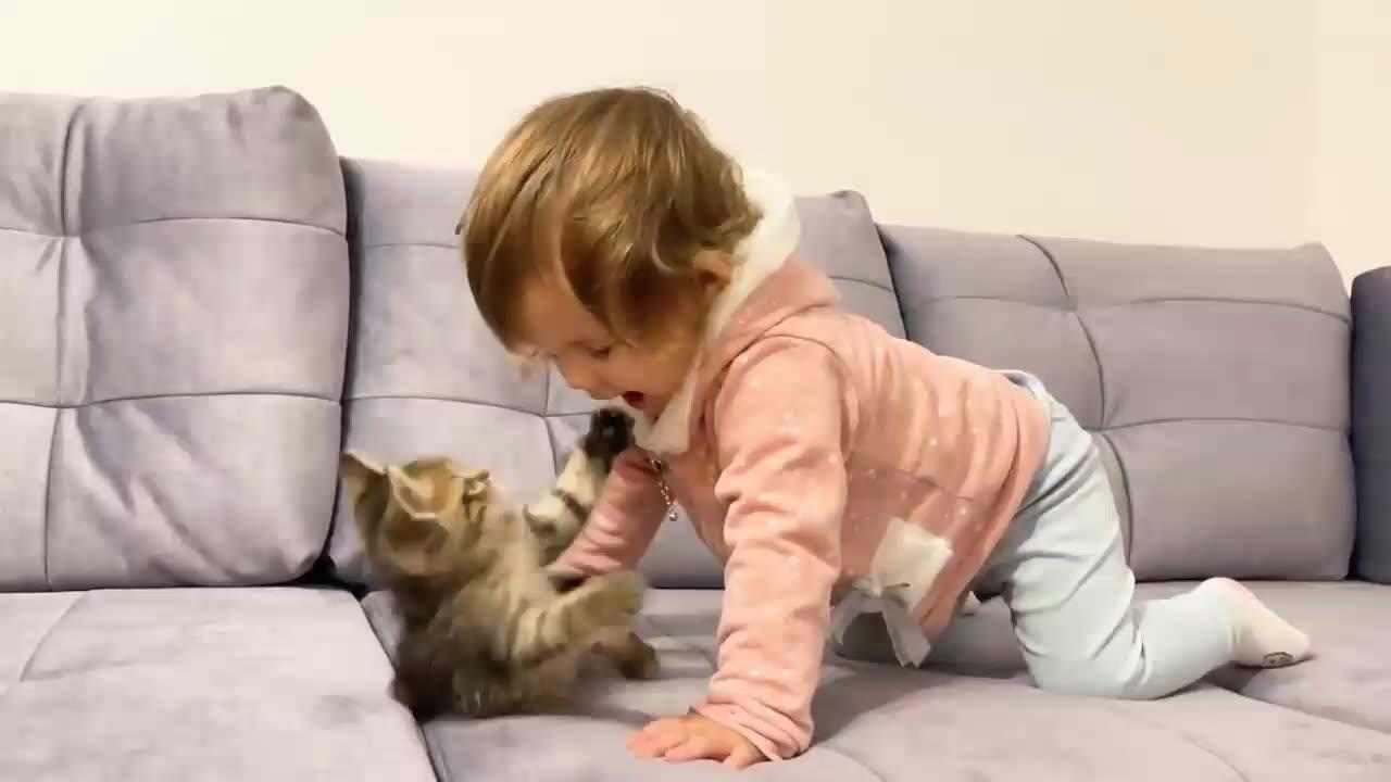 Funny Cats and Kittens Meowing Compilation - One News Page VIDEO