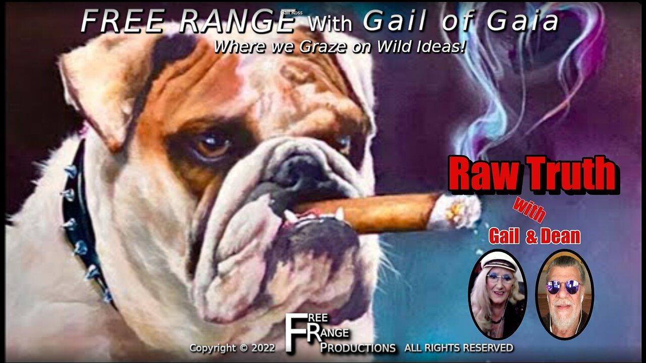 RawNews With Dean Chambers and Gail of Gaia on - One News Page VIDEO