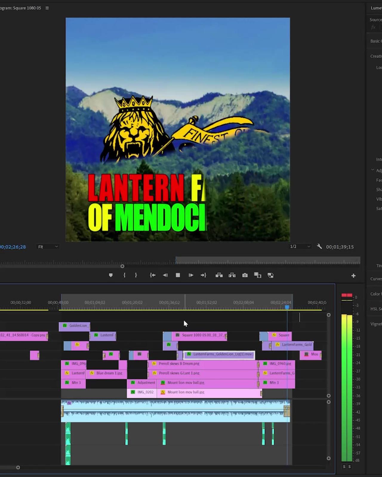 Premier Pro timeline view - One News Page VIDEO