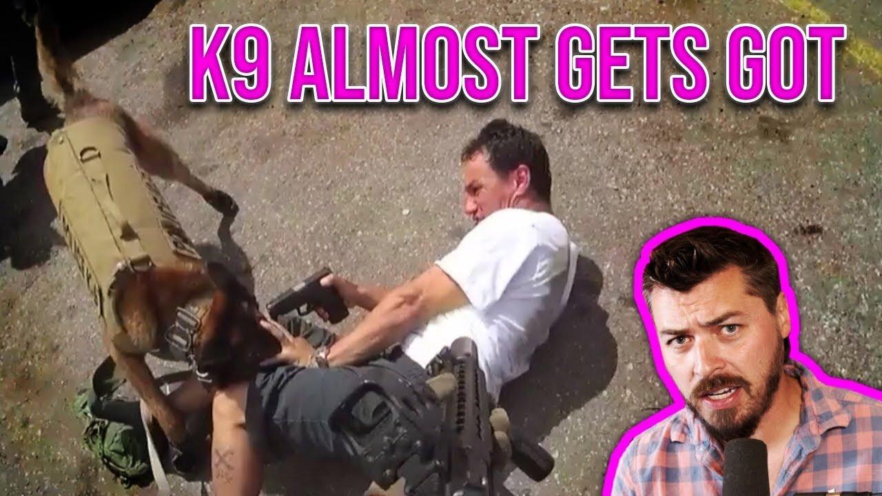 SWAT Team Saves K9 Officer From BANK - One News Page VIDEO