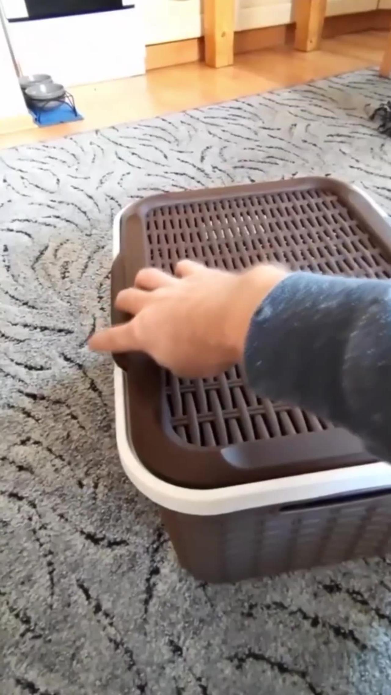 what do you think we have in the box - One News Page VIDEO