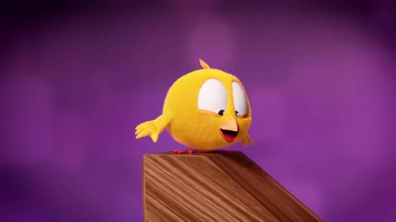 Where's Chicky Funny Chicky 2020 - HAVE TO - One News Page VIDEO