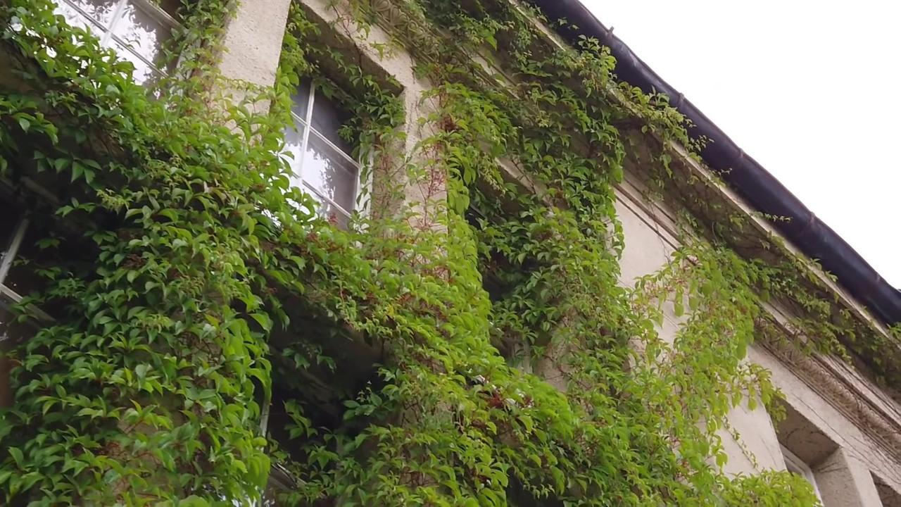 Journey Through Nature's Majestic Beauty: A - One News Page VIDEO