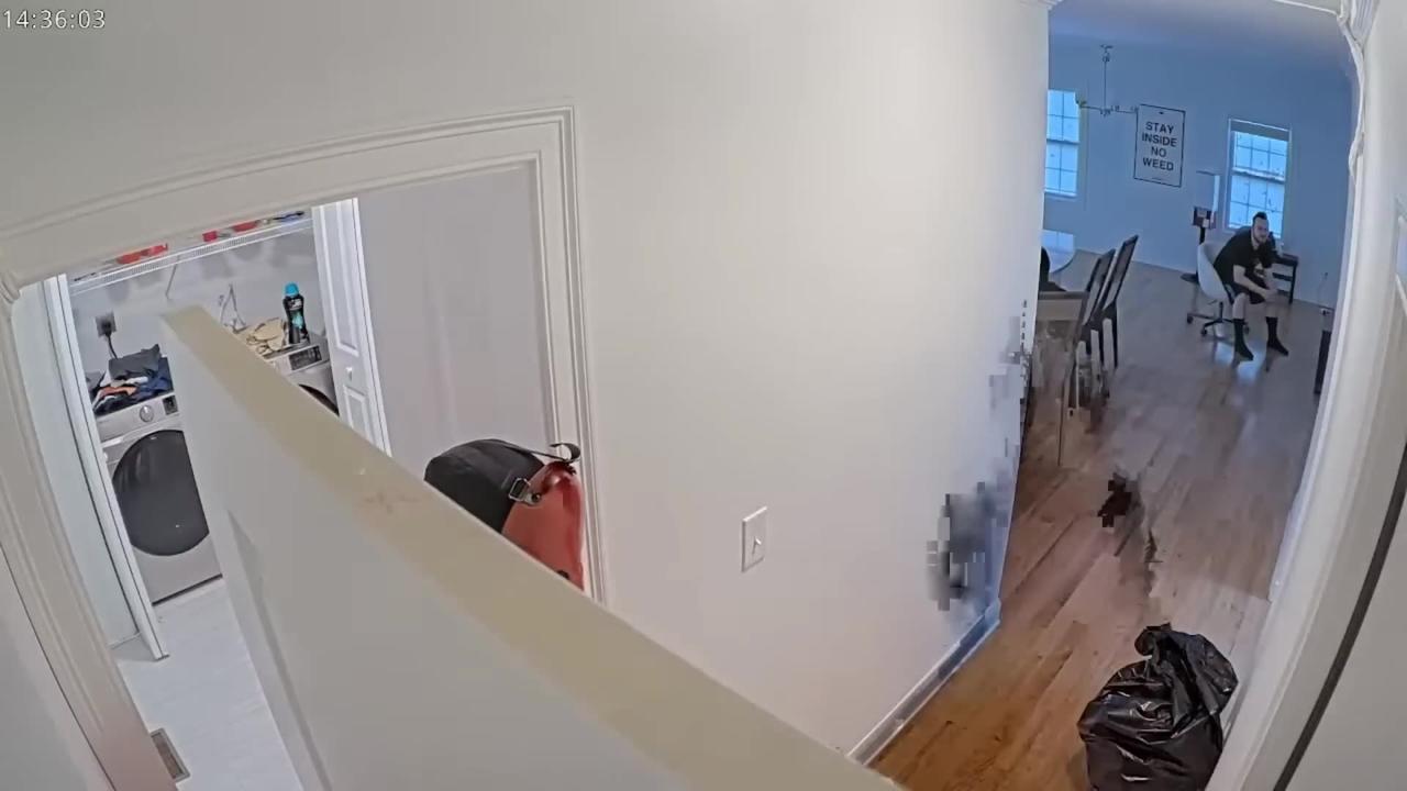 Damiel banned from YouTube - Fishtank LIVE - One News Page VIDEO