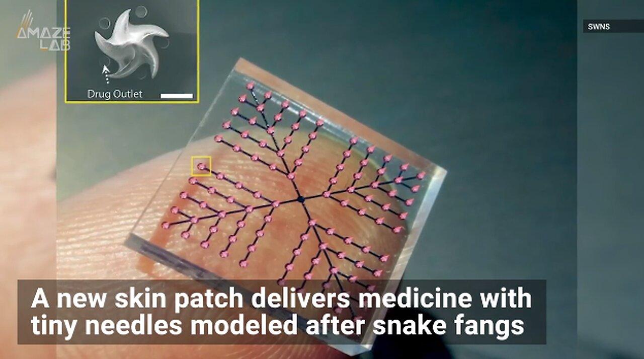 Patch Injects The Body 100 "Snake - One News Page VIDEO