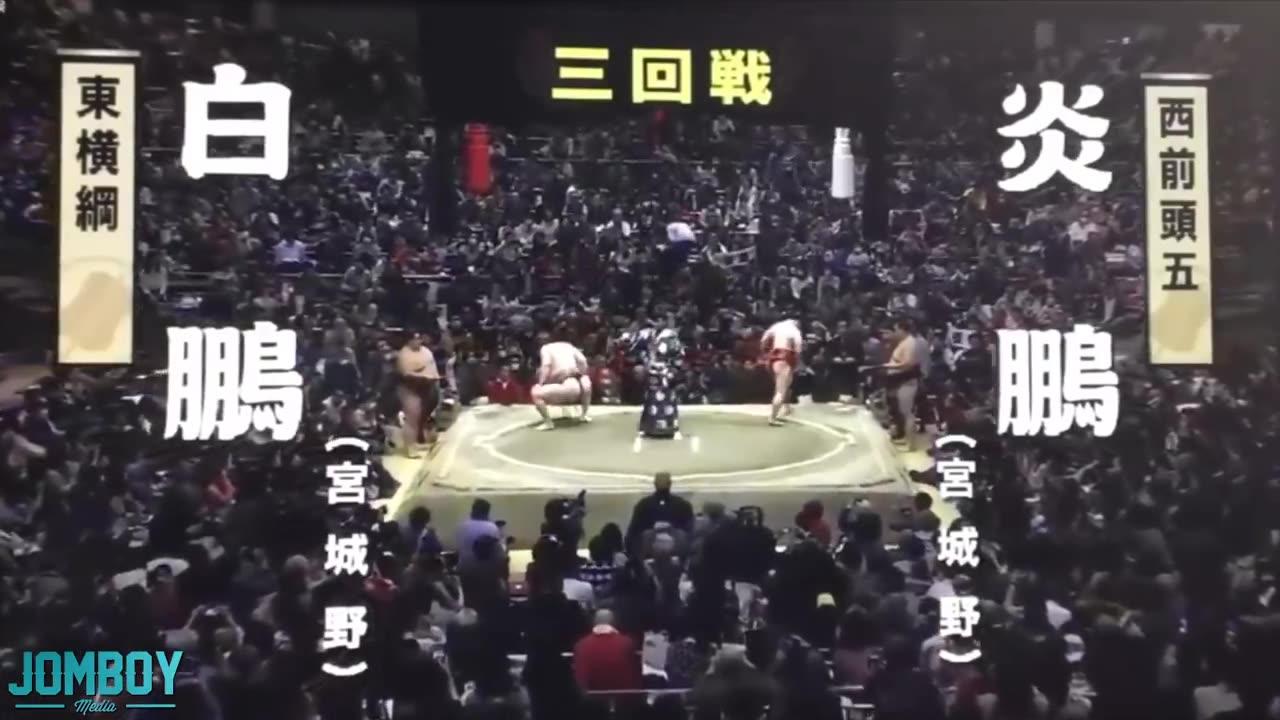 Little Sumo Wrestler flips Opponent double his - One News Page VIDEO