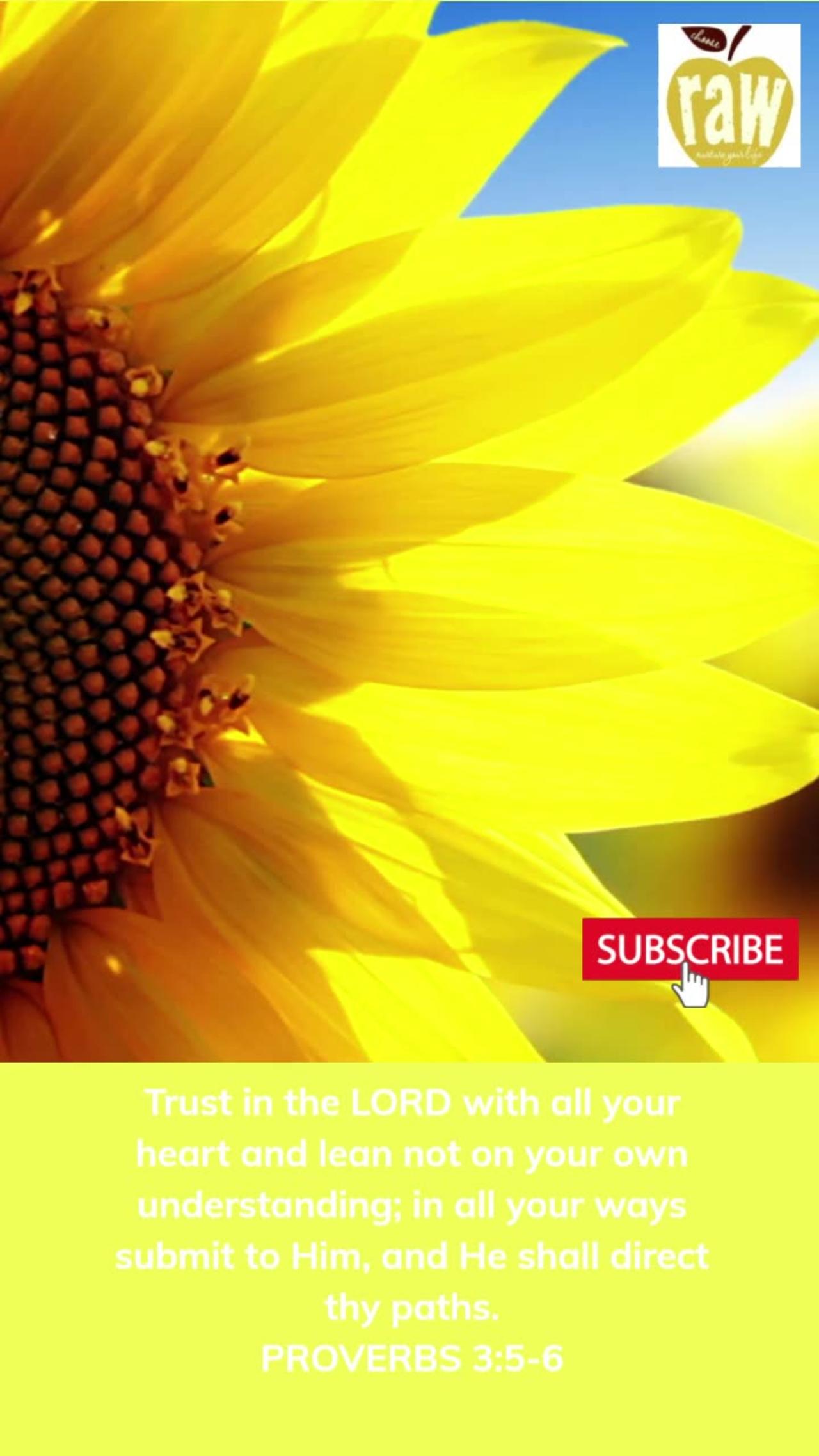 God's Promises PROVERBS 3:5-6 - One News Page VIDEO