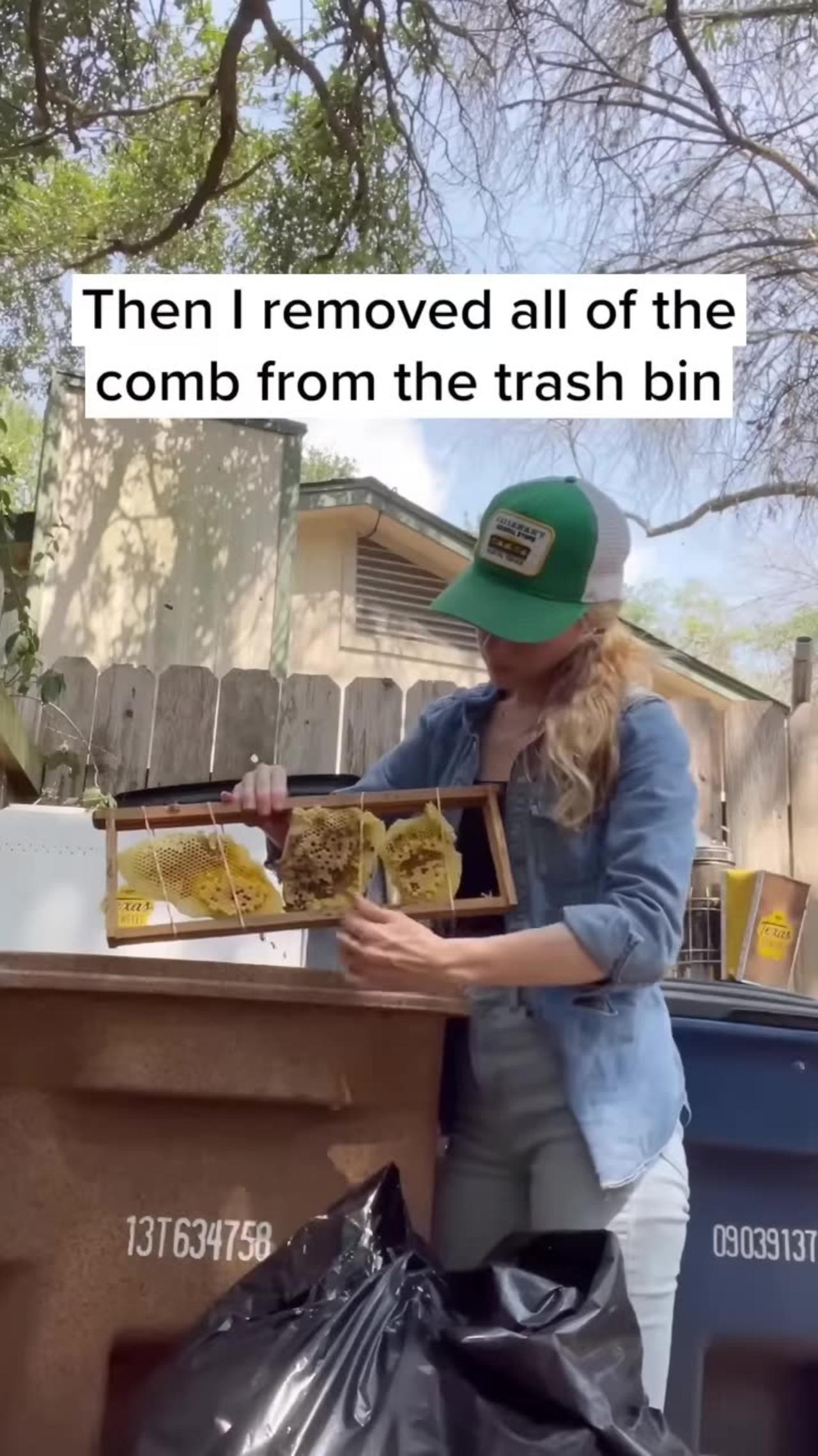Rescuing Bees from the Bottom of a Trash Bin - One News Page VIDEO