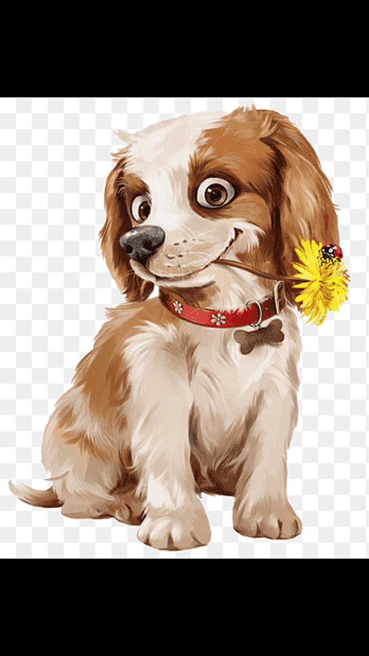 Dog making us luagh funny dog make funny face - One News Page VIDEO