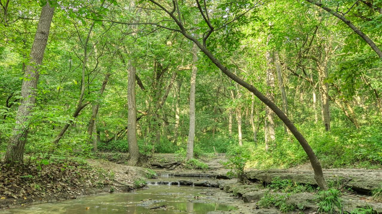 See God's Direction and What Path To Take - One News Page VIDEO
