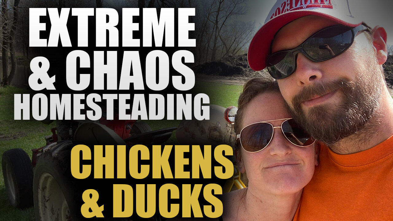 Extreme & Chaos Homesteading: Chickens & - One News Page VIDEO