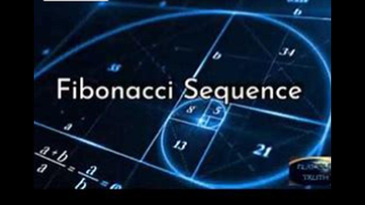 Fibonacci Sequence and Creation - One News Page VIDEO