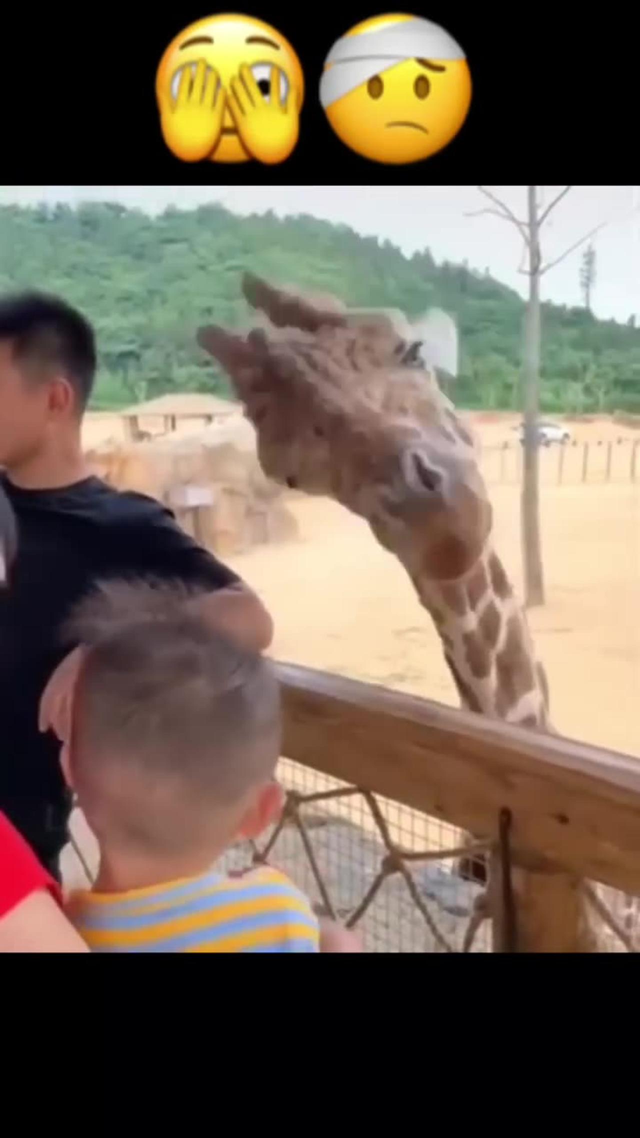 US FUNNY VIDEO। VIDEO VIRAL VIDEO - One News Page VIDEO