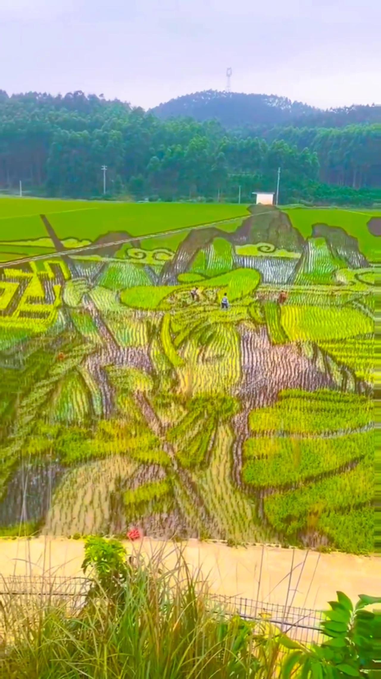 Natural status beautiful status lovely status - One News Page VIDEO