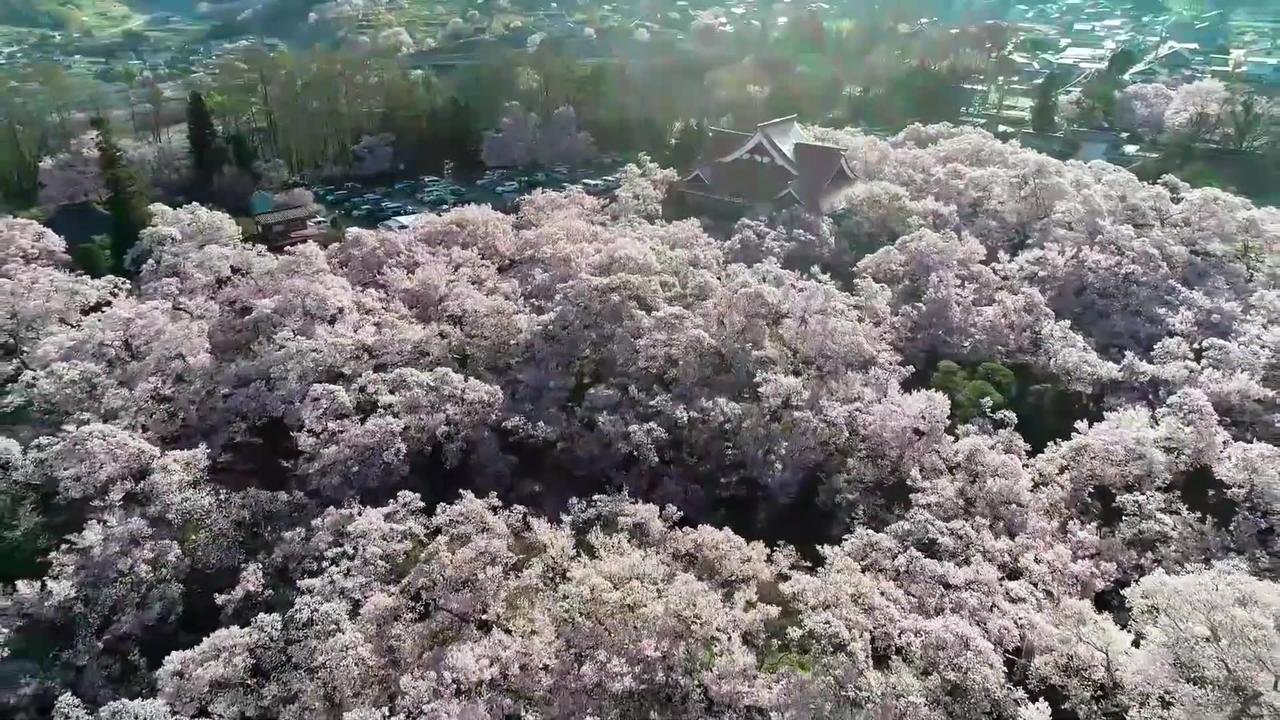 The Best Soothing and Relaxing Nature Views - One News Page VIDEO