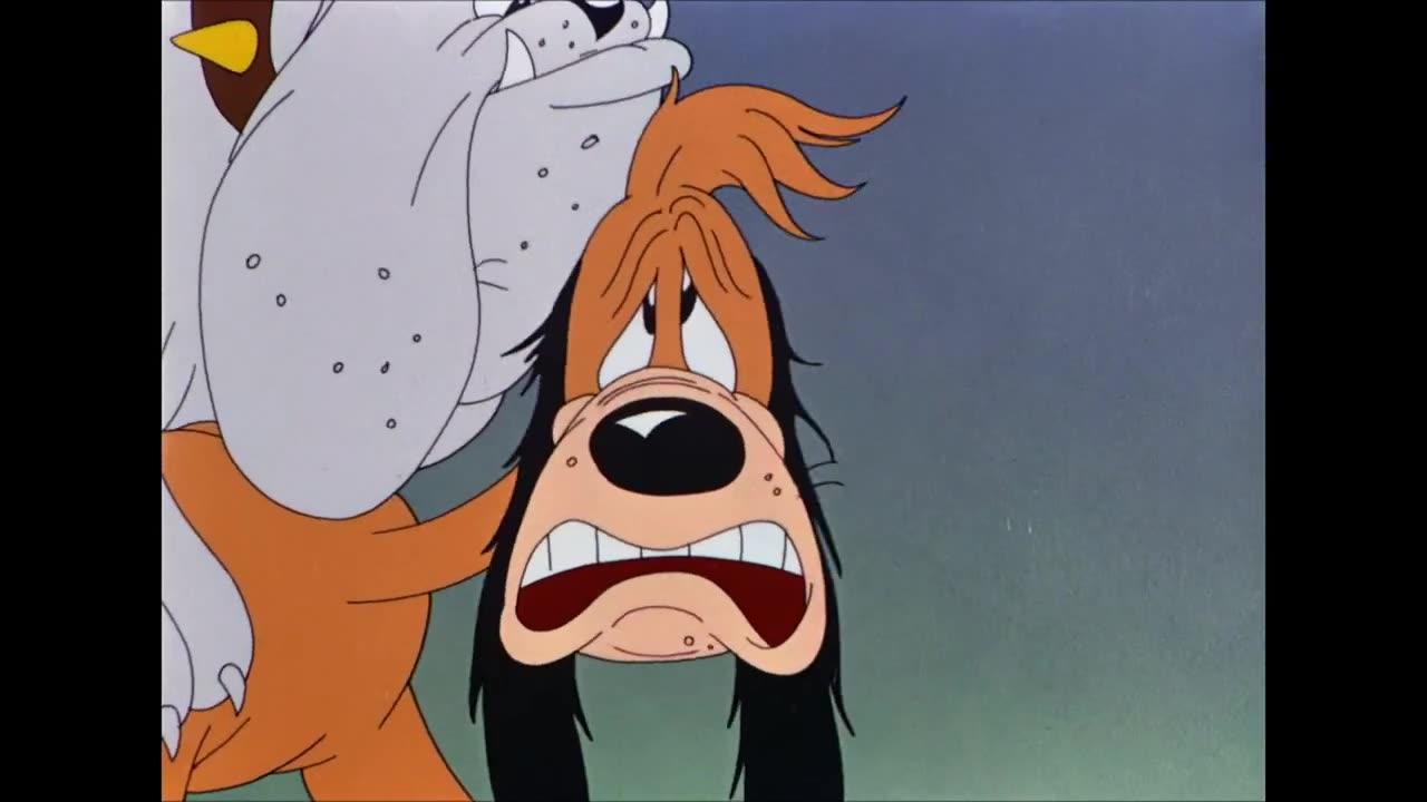 Ding dog cartoon - One News Page VIDEO