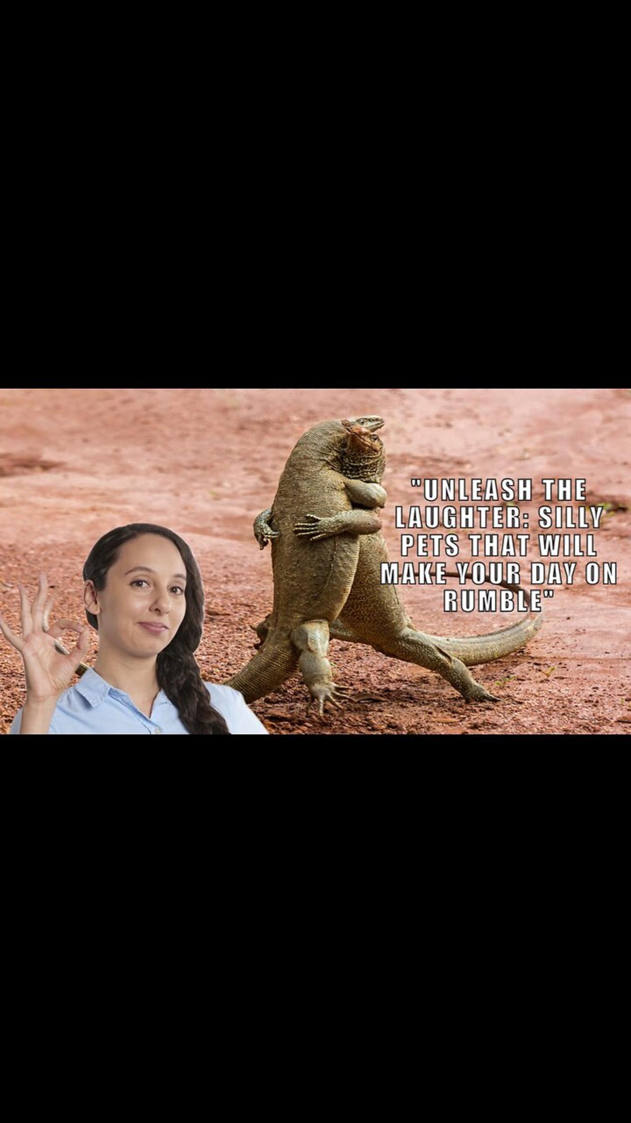 "Unleash the Laughter: Silly Pets That Will - One News Page VIDEO