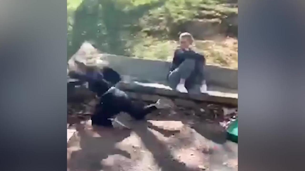 try not to laugh or grin watching funny clean - One News Page VIDEO