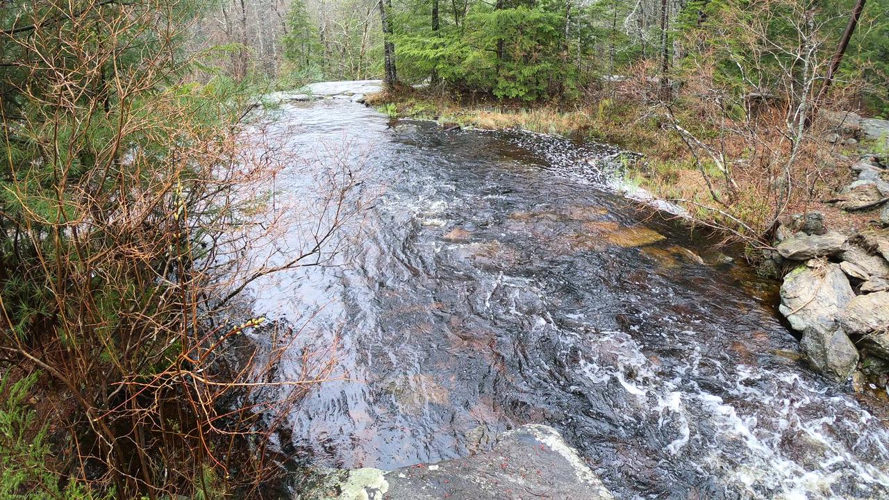 Rickety Bridge - One News Page VIDEO