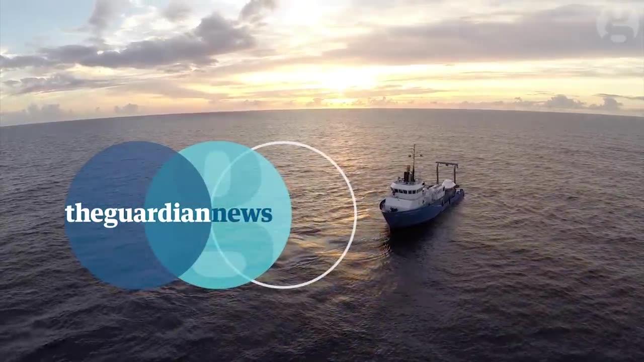 Deep sea dive into Bermuda's hidden depth - One News Page VIDEO