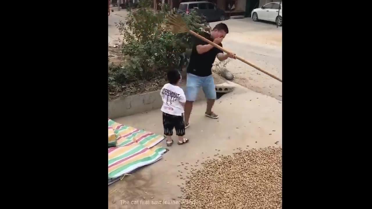 Funny Animal Fail - All animal Compilation - One News Page VIDEO