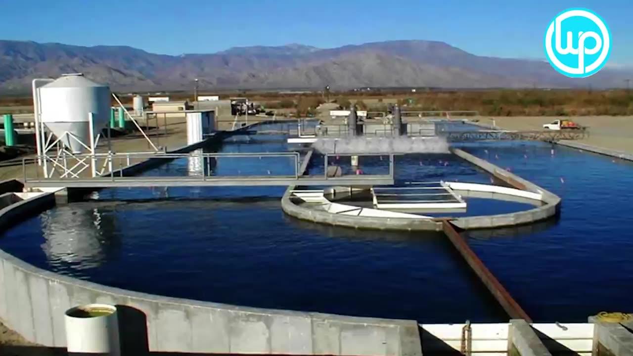 China $760 Million Buld Mega Fish Farm In The - One News Page VIDEO