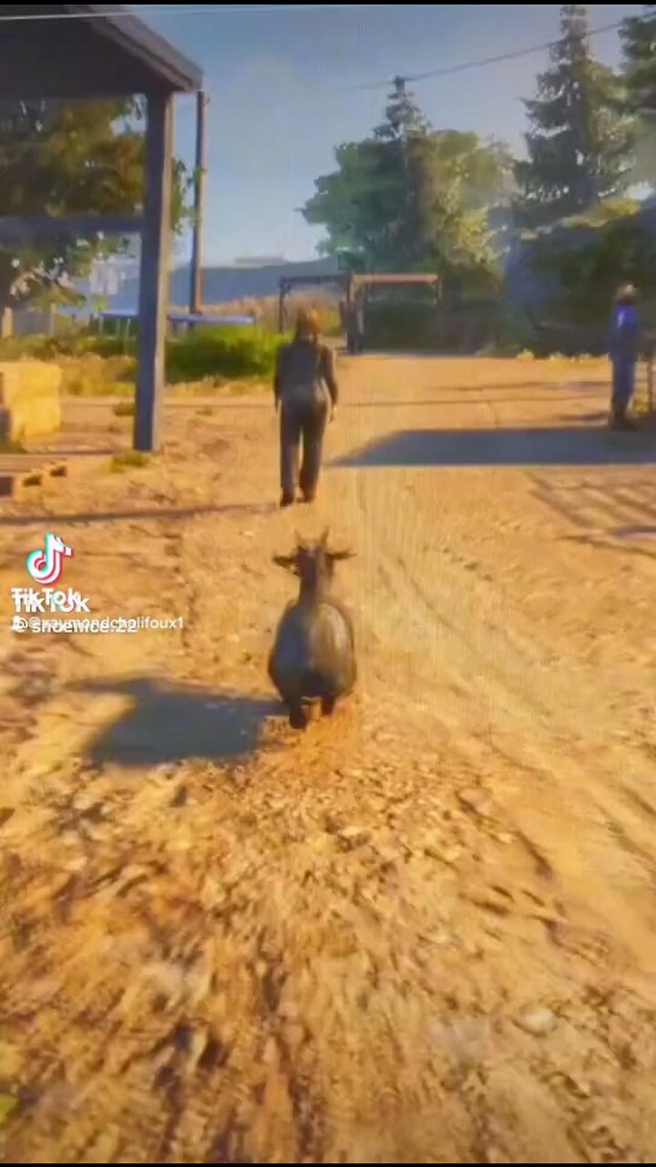 Goat simulator 3 - One News Page VIDEO