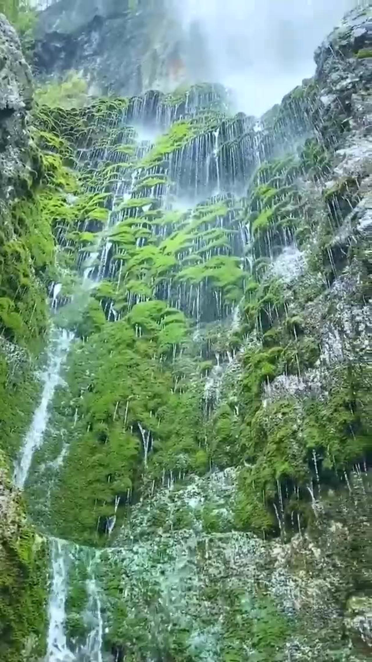 Wow! Beautiful nature! - One News Page VIDEO