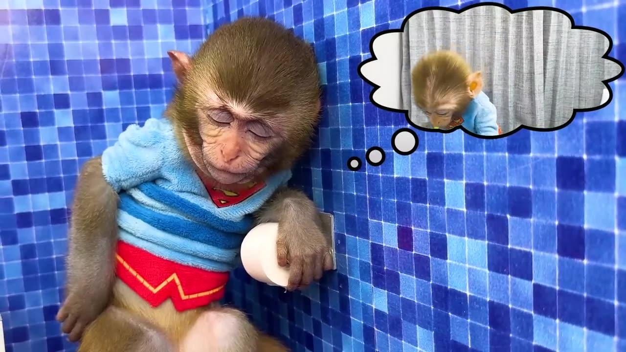 Monkey Baby Bon Bon Bathing In The Bathroom - One News Page VIDEO