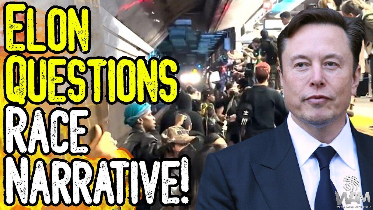 Elon QUESTIONS Race Narrative! - "Why - One News Page VIDEO
