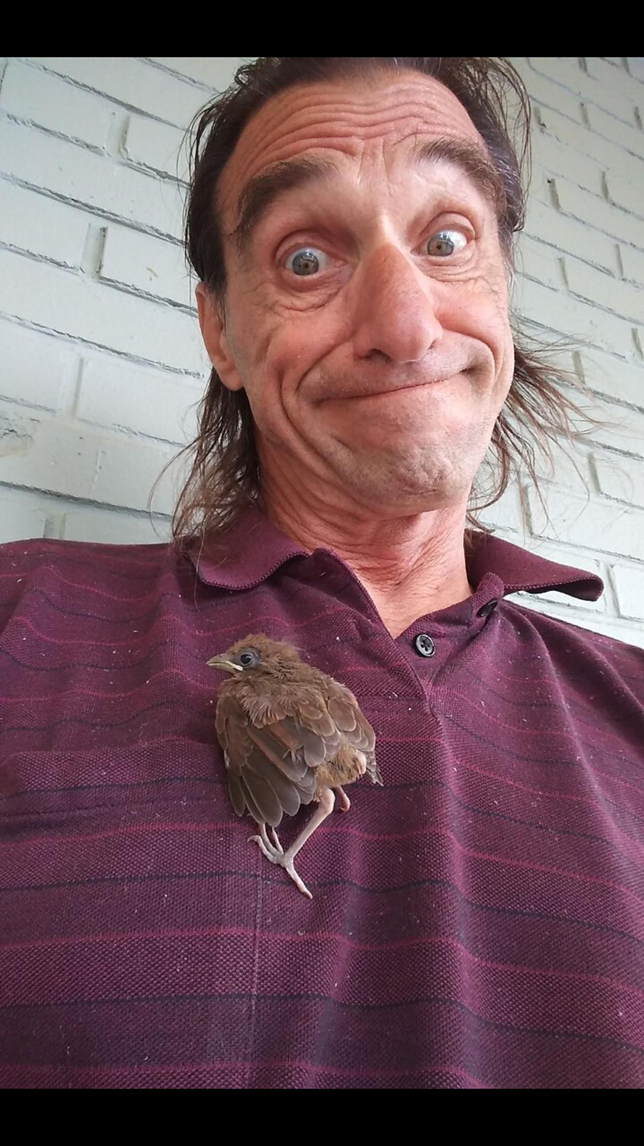 Baby Bird a little thirsty... - One News Page VIDEO