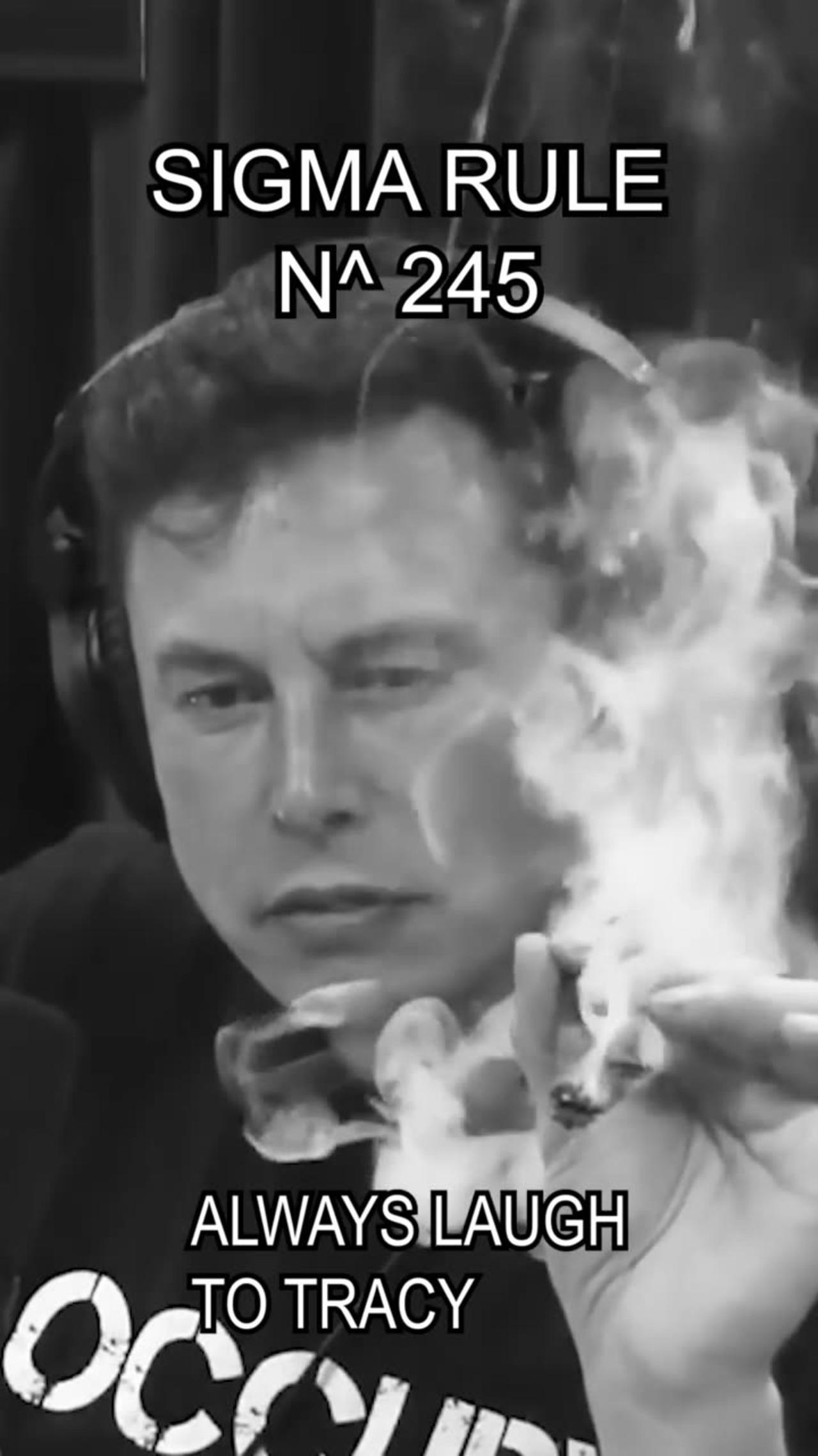 Elon Musk Sigma rule 😎 - One News Page VIDEO