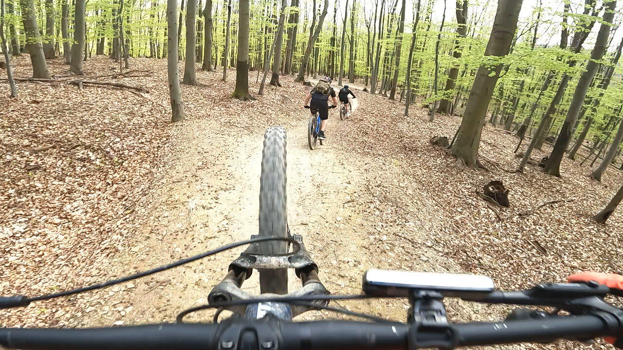 Riding some Slovak trails in da forest -- FIRST - One News Page VIDEO