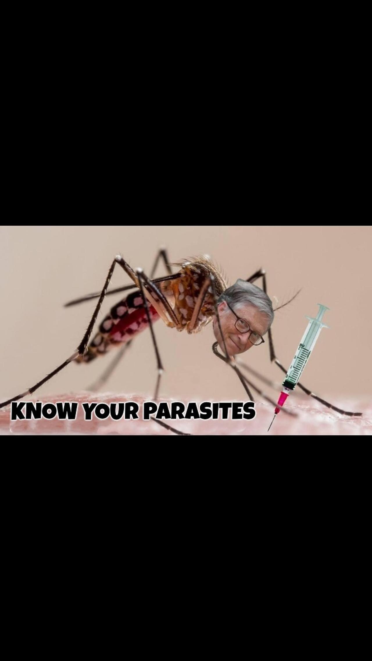 mRNA Will be Going Into EVERYTHING You Consume - One News Page VIDEO