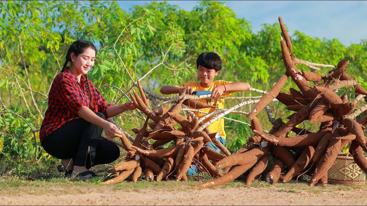 Cassava is a good source of vitamin - 2 desserts - One News Page VIDEO