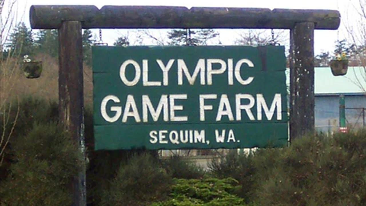 PrankNET Takes Over Olympic Game Farm - pranknet - One News Page VIDEO