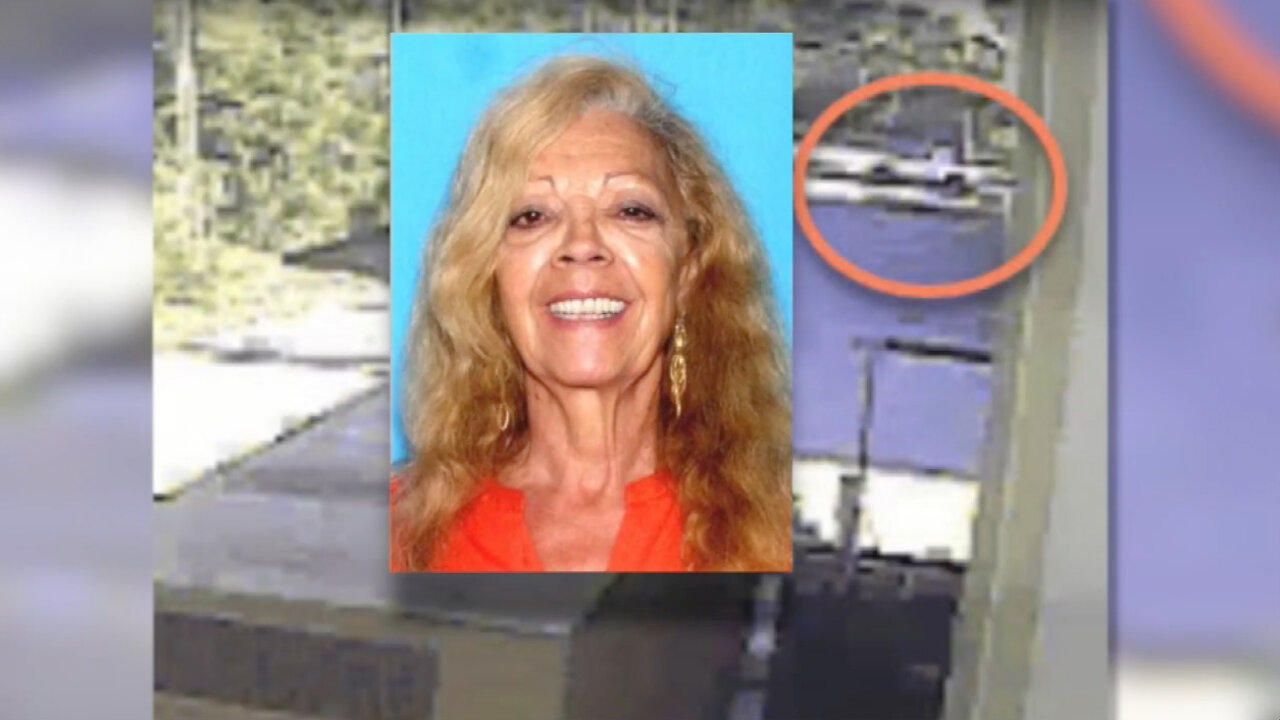 Man Sought After Remains Of Susy Tomassi One News Page Video