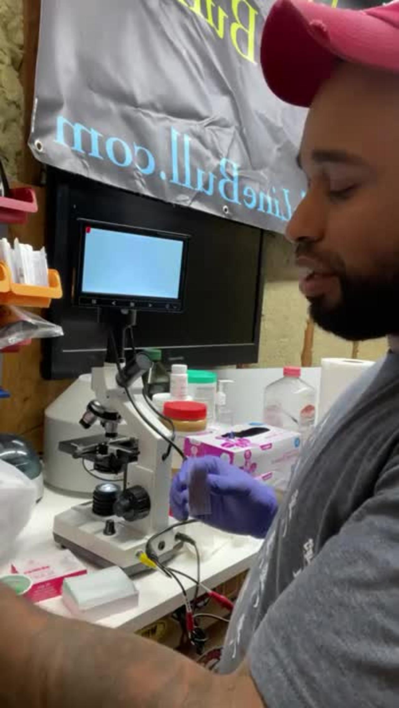 My first microscope cytology to detect breeding - One News Page VIDEO