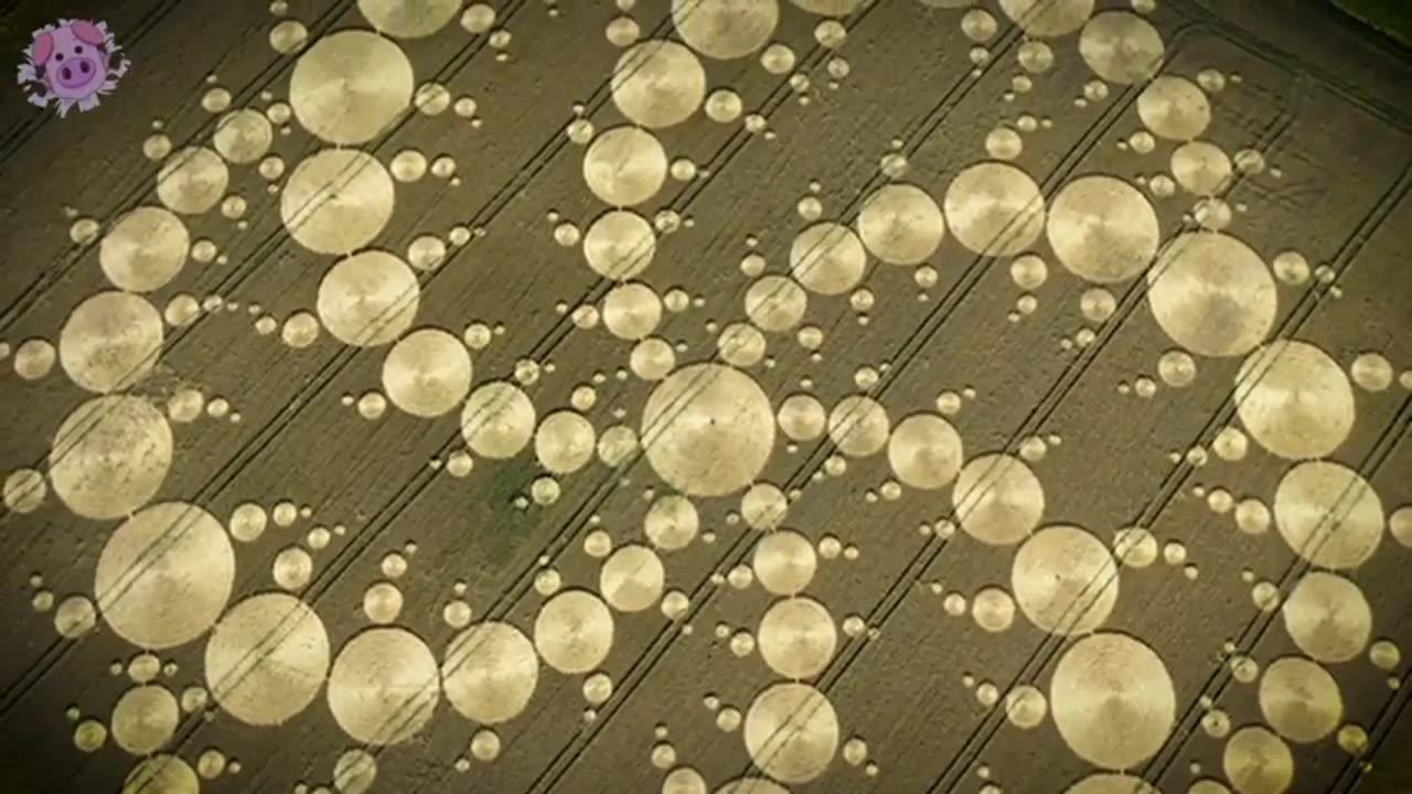What is it art - One News Page VIDEO
