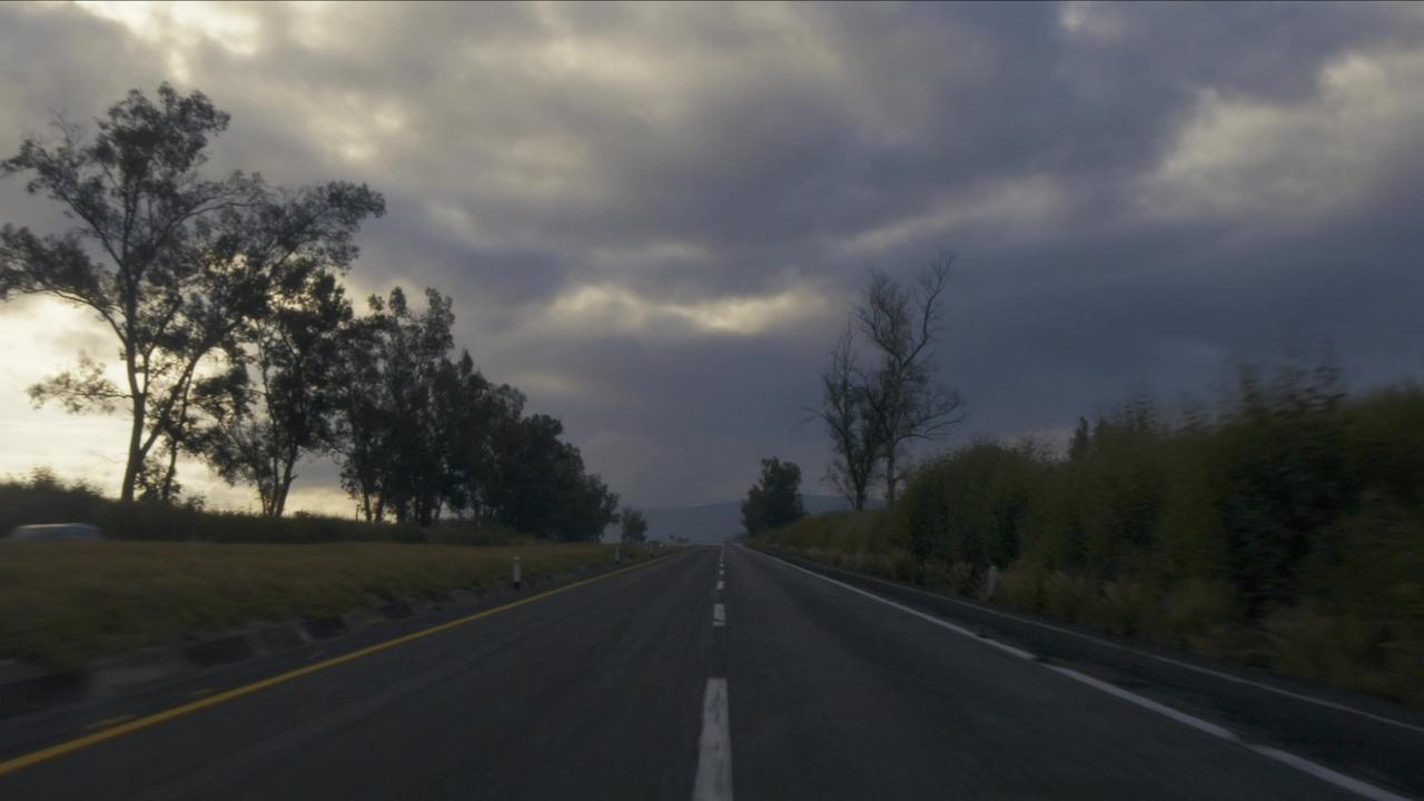 Driving across a road - One News Page VIDEO