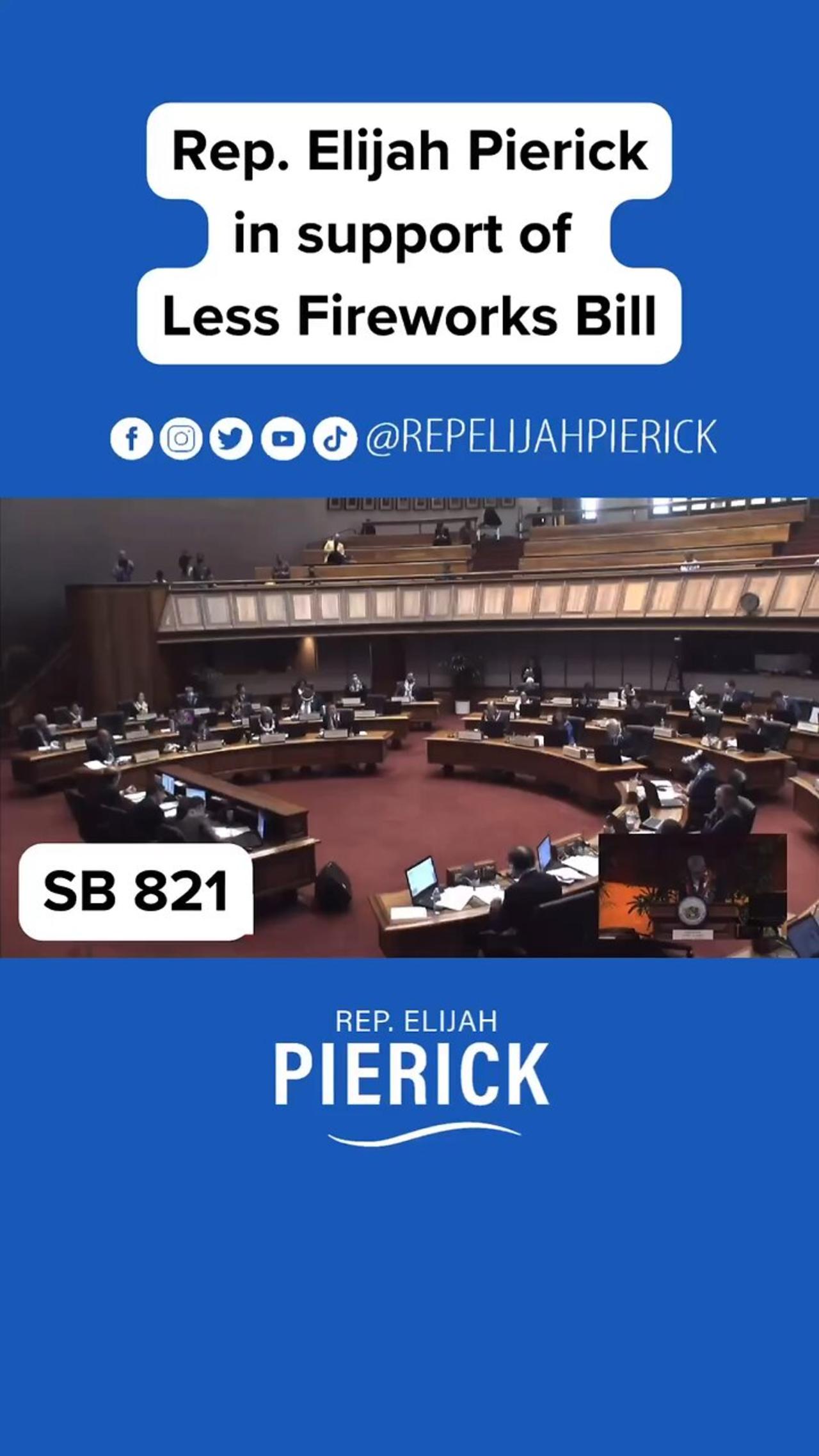 Rep. Elijah Pierick in Support of Less Fireworks - One News Page VIDEO