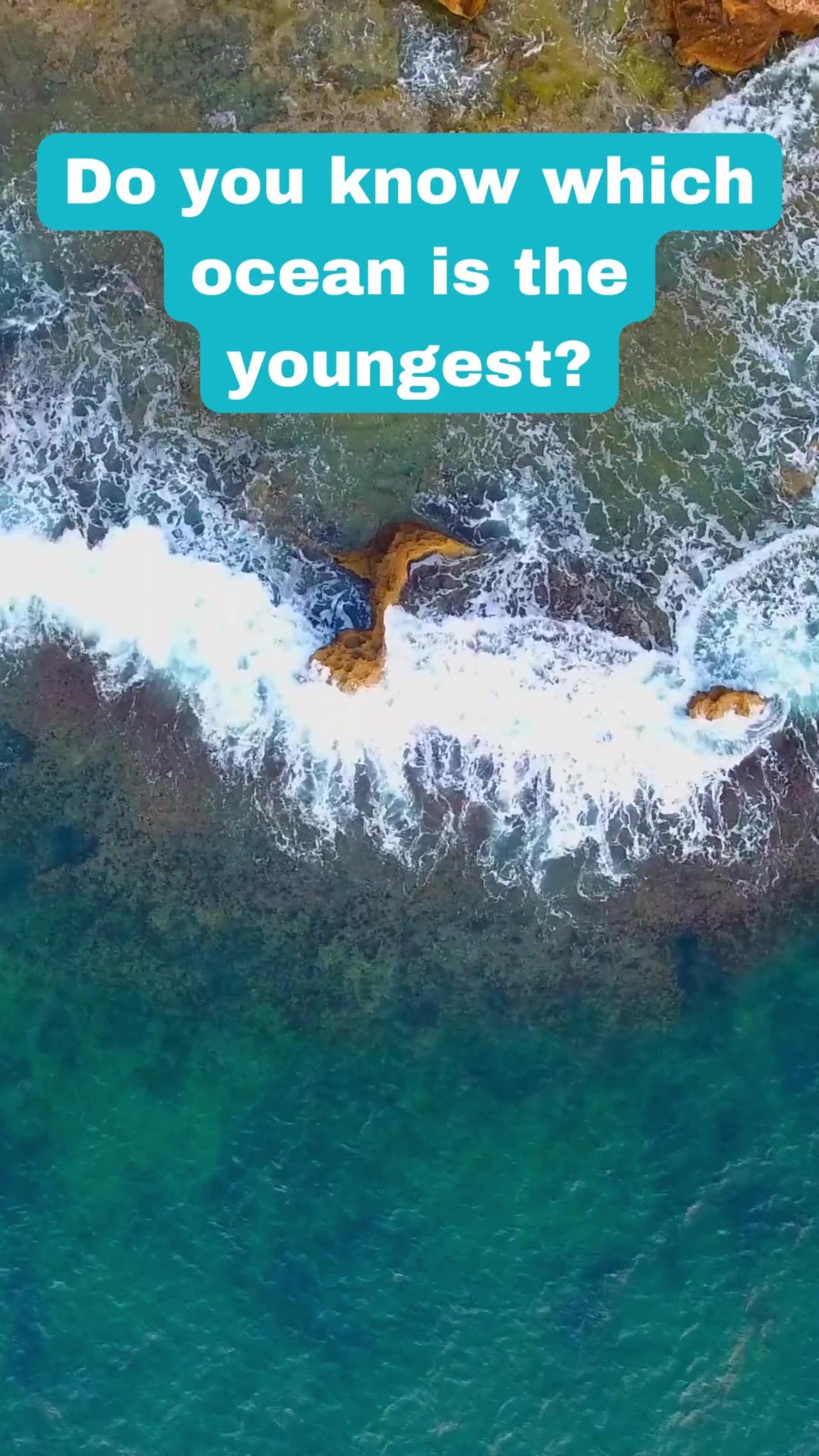 youngest ocen - One News Page VIDEO