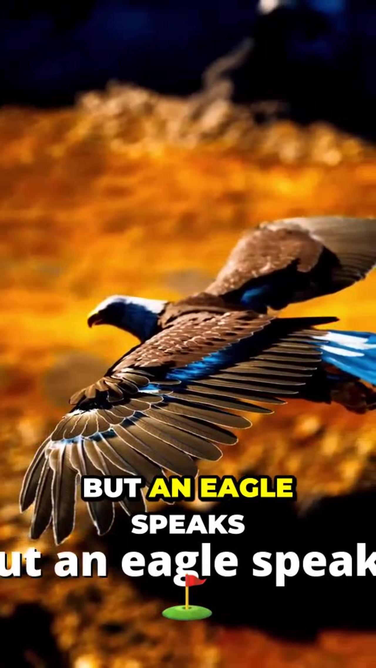 Unleashing the Power of the Eagle Mindset: What - One News Page VIDEO